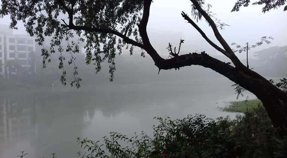 Top 5 Reasons that Make Baridhara Diplomatic Zone a Great Destination ...